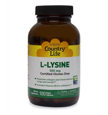 BIO INNOVATIONS: L-Lysine with B-6, 500mg, 100 Capsules